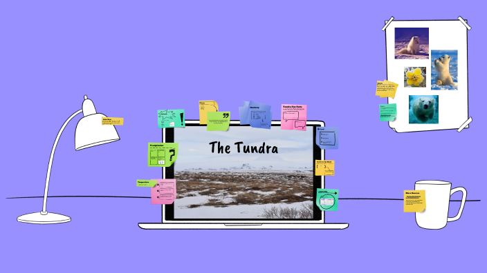 Tundra Biome by Julia Cottrell on Prezi