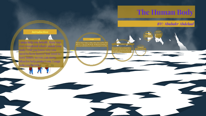 The Human Body by Lorie Peralez on Prezi