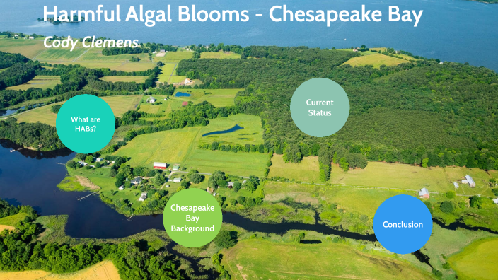 Harmful Algal Blooms - Chesapeake Bay by Cody Clemens on Prezi