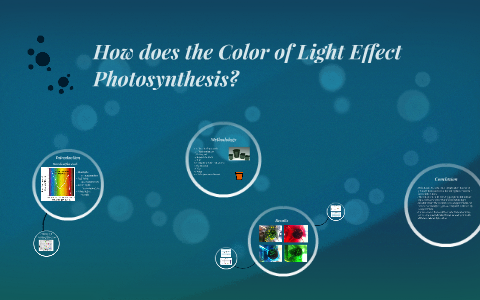 How does the Color of Light Effect Photosynthesis by Alexander Van ...
