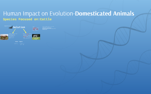 Human Impact on Evolution-Domesticated Animals by lucas carbone on Prezi