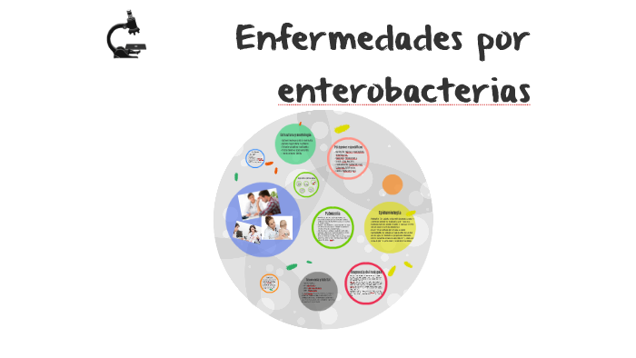 Enfermedades por enterobacterias by on Prezi
