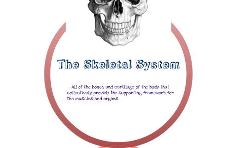 The Skeletal System by marie z on Prezi