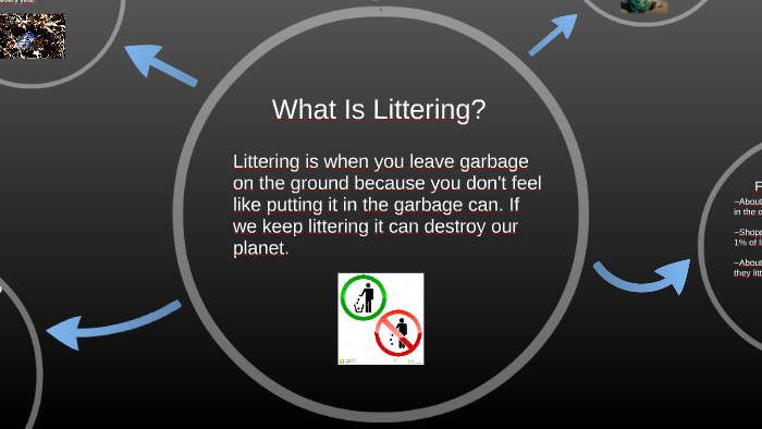Littering Presentation by Sarah Pulko on Prezi
