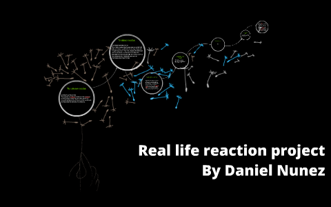 Real life reaction project by Daniel Nunez