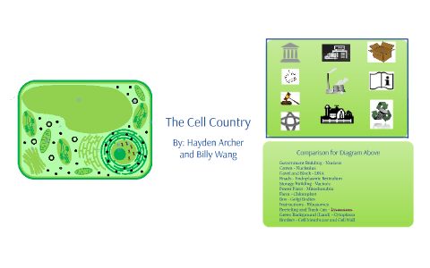 Cell Comparison Project by Billy Wang on Prezi