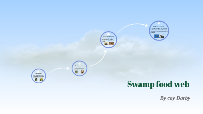 swamp food web by Beth Bandiero on Prezi