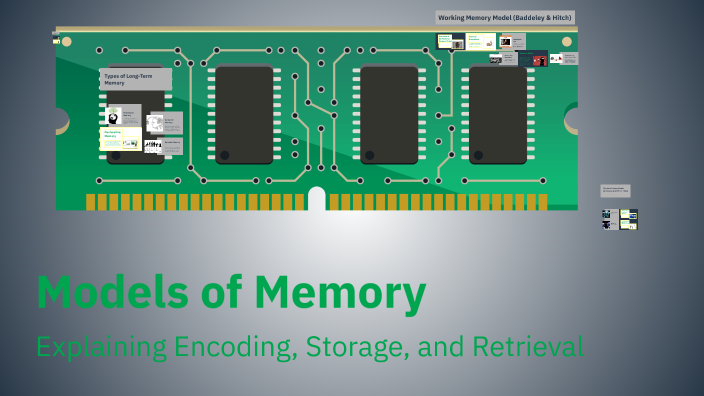 Models of Memory by Samuel Wybrow on Prezi