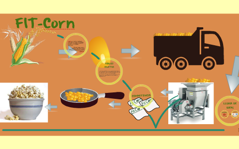 FIT-Corn by Katherine Villegas on Prezi