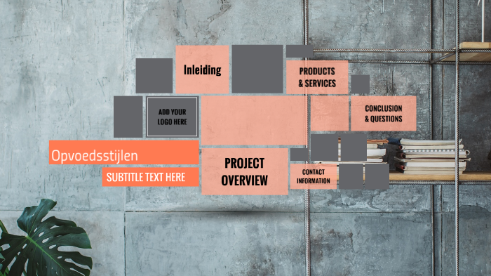 Keuzevak by Vera van Dijk on Prezi