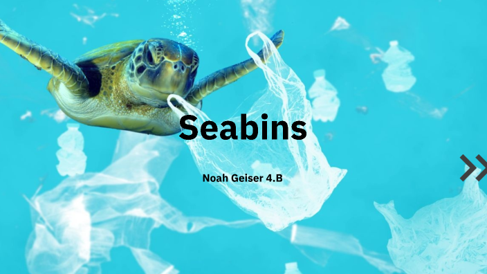 Seabin by Noah Geiser on Prezi