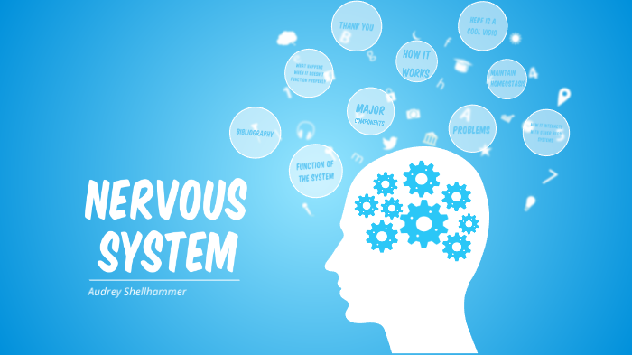 The Nervous System by Audrey Shellhammer on Prezi