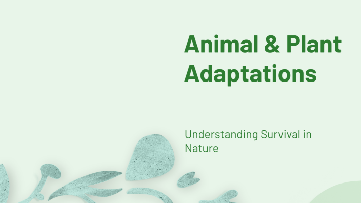Animal & Plant Adaptations by Alexandra Schlotzhauer on Prezi