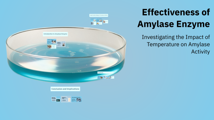 Effectiveness of Amylase Enzyme by kledisa shuli on Prezi