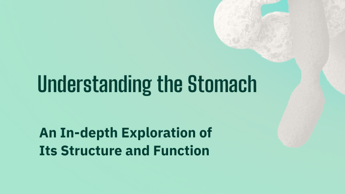 Understanding the Stomach by Samuel Miller on Prezi