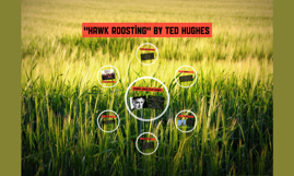 "Hawk Roosting" by Ted Hughes by Cayleigh Birdwell on Prezi