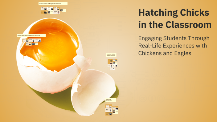 Hatching Chicks in the Classroom by Stephanie Rivard on Prezi