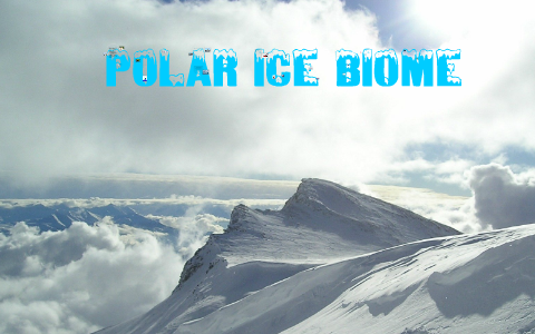Polar Ice Biome by Jason Zhu on Prezi