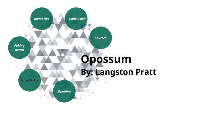 North Carolina State Symbol Project by Langston Pratt on Prezi