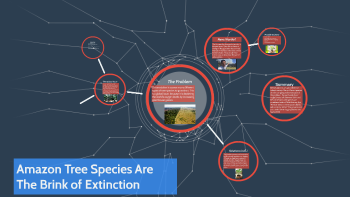 Amazon Tree Species Are The Brink of Extinction by Noah Turner on Prezi