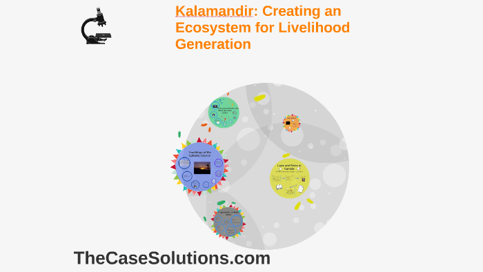 Kalamandir: Creating an Ecosystem for Livelihood Generation by ...