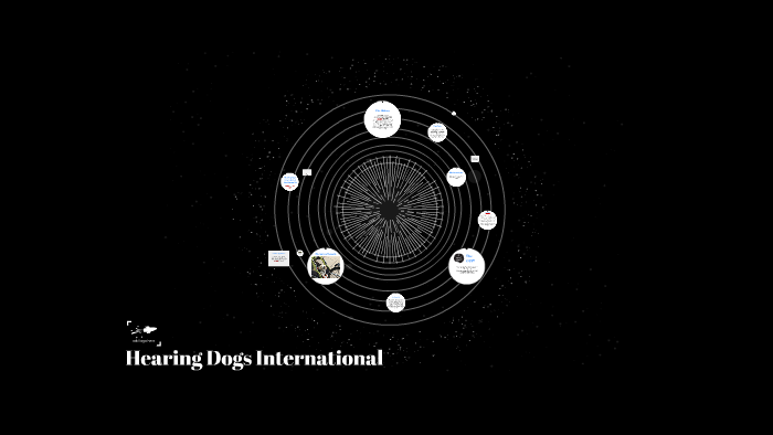 Service Dogs by alexa caron on Prezi
