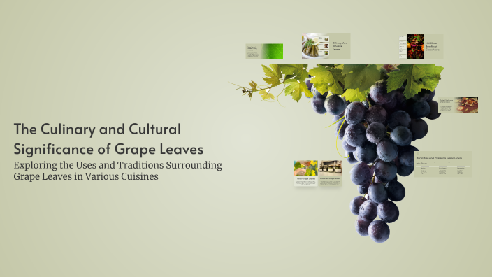 The Culinary and Cultural Significance of Grape Leaves by Aro Pola on Prezi