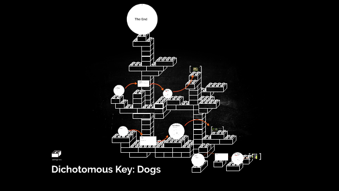 Dichotomous Key: Dogs by Sage Samuels on Prezi