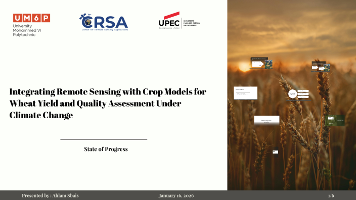 Integrating Remote Sensing with Crop Models for Wheat Yield and Quality ...