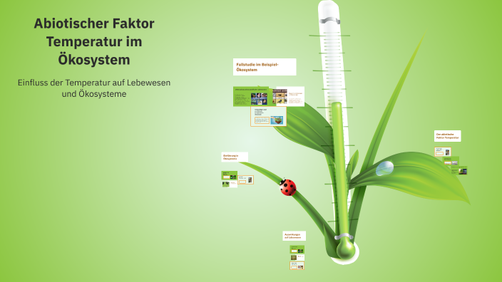 Abiotischer Faktor Temperatur im Ökosystem by Lisa Döring on Prezi