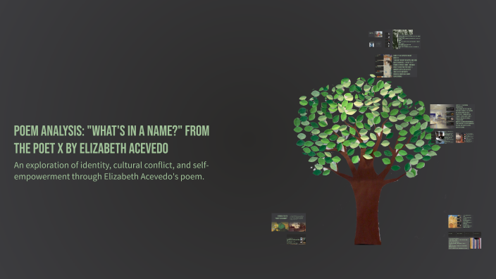 Poem Analysis: "What's in a Name?" from The Poet X by Elizabeth Acevedo ...