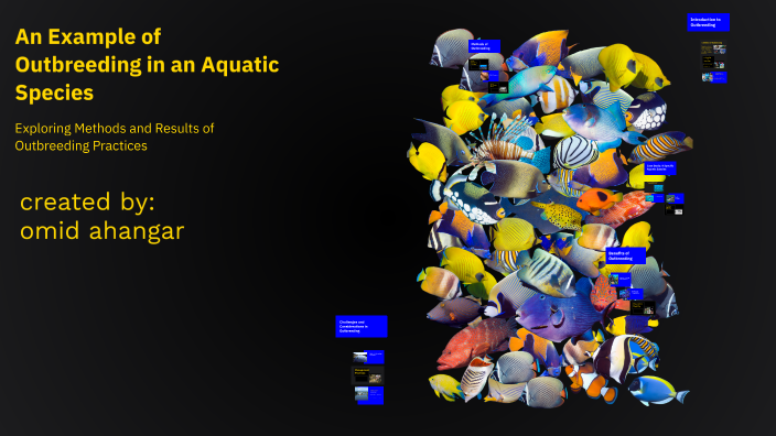 An Example of Outbreeding in an Aquatic Species by omid ahangar on Prezi
