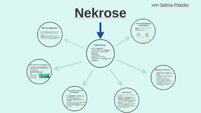 Nekrose: by rosa buss on Prezi
