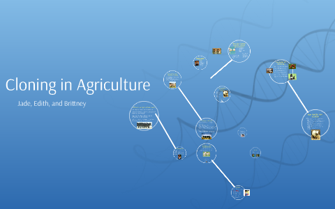 Cloning in Agriculture by Edith Nelson on Prezi