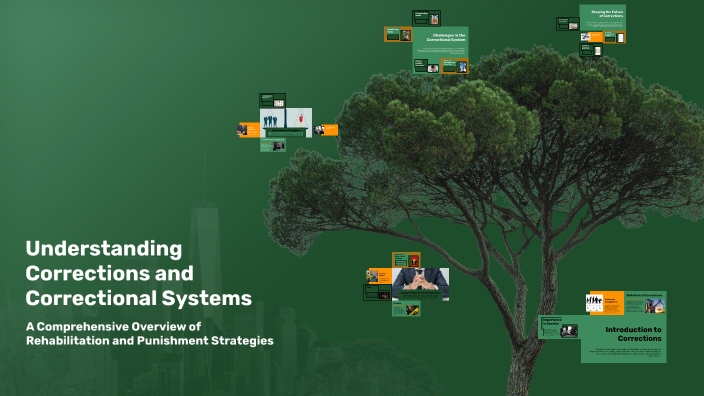 Understanding Corrections and Correctional Systems by Maria Almonte ...