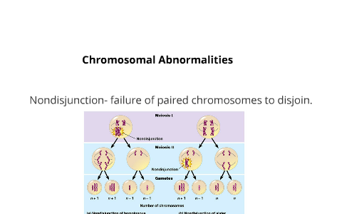 Chromosomal Abnormalities Project by Victor Luft on Prezi
