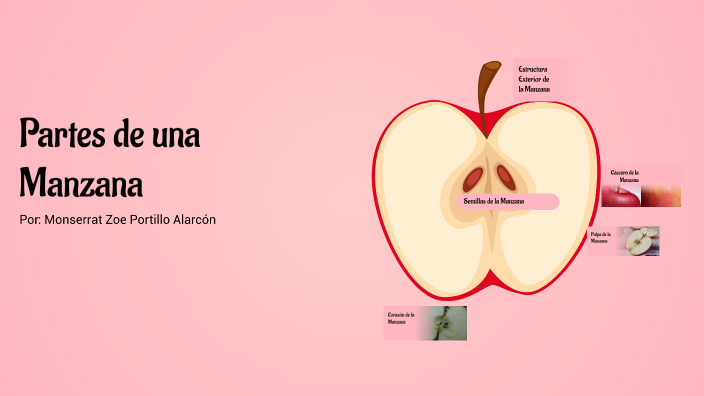Partes de una Manzana by Monserrat Portillo Alarcón on Prezi
