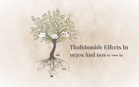 Thalidomide Effects In 1950s And 60s by Owen Tse on Prezi
