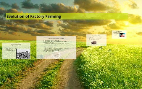 History of Factory Farming by Evan Bailey on Prezi