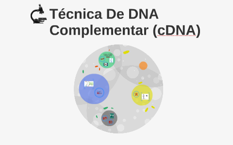 Técnica De DNA Complementar (cDNA) by Patrícia Teixeira on Prezi
