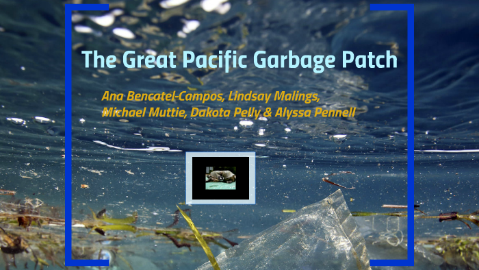 The Great Pacific Garbage Patch by Alyssa Pennell on Prezi