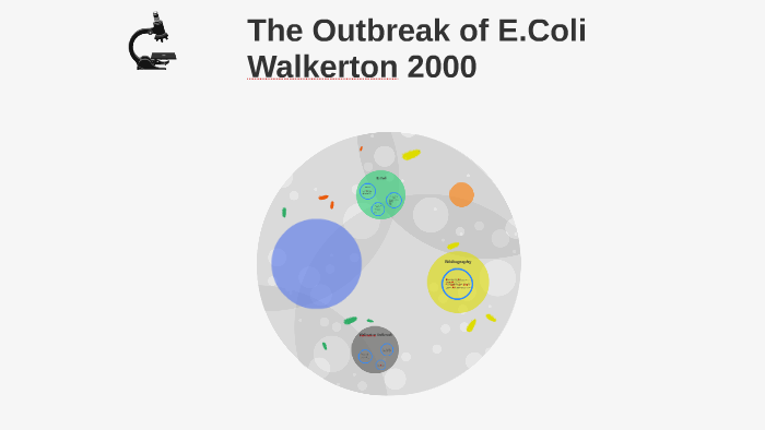 The Outbreak of E.Coli Walkerton 2000 by Leila Sherrard on Prezi