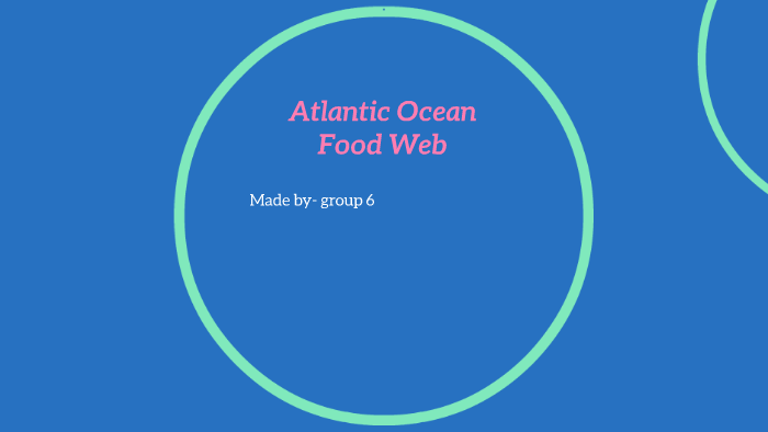 Atlantic Ocean Food Web by Trinity Barron on Prezi