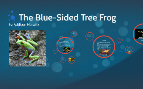 Saving the Blue Sided Tree Frog by Addison Hurwitz on Prezi