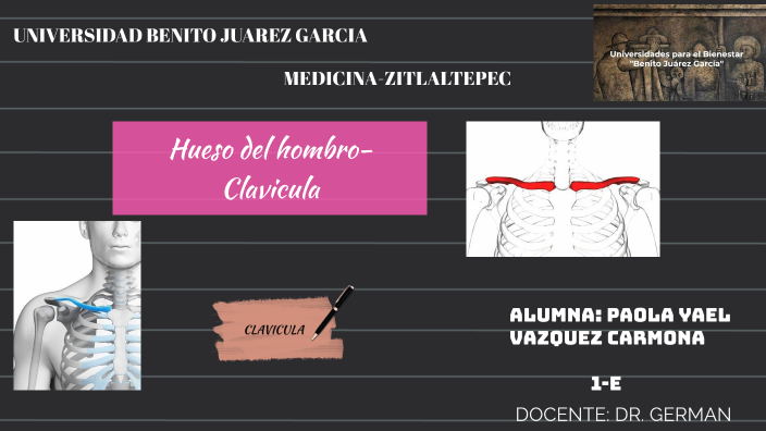 anatomia-clavicula by Vázquez Carmona Paola Yael on Prezi