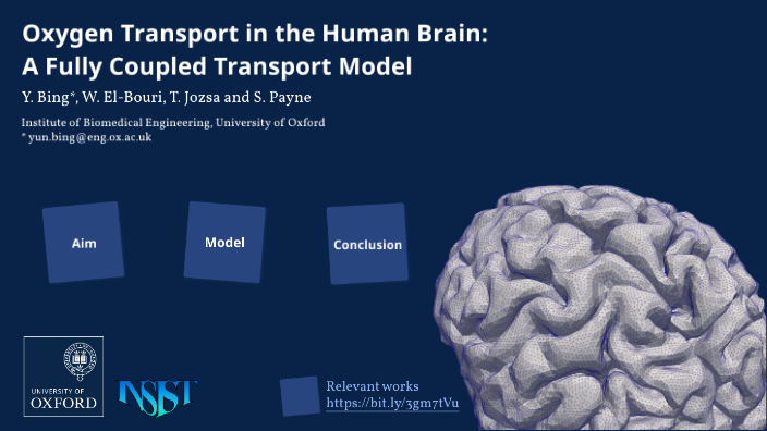 Oxygen Transport in the Human Brain: A Fully Coupled Transport Model by ...
