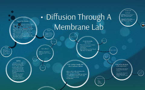 Diffusion Through A Membrane Lab by Abigail Dopico on Prezi