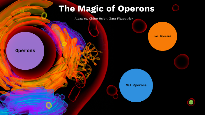 Biol 112 Term Project by Chloe Hsieh on Prezi