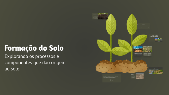 Formação Do Solo By Marilza Cardoso Da Silva On Prezi
