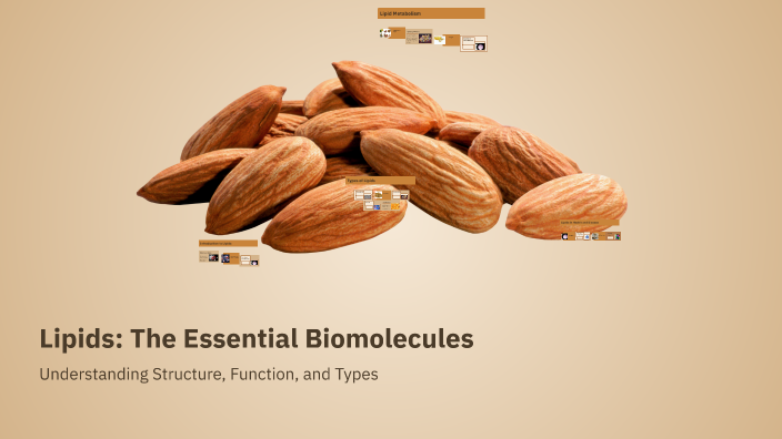 Lipids: The Essential Biomolecules by Bofeli :3 on Prezi